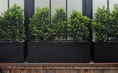 Rectangular Fiberglass Container 27 Bronze Large Outdoor Planters