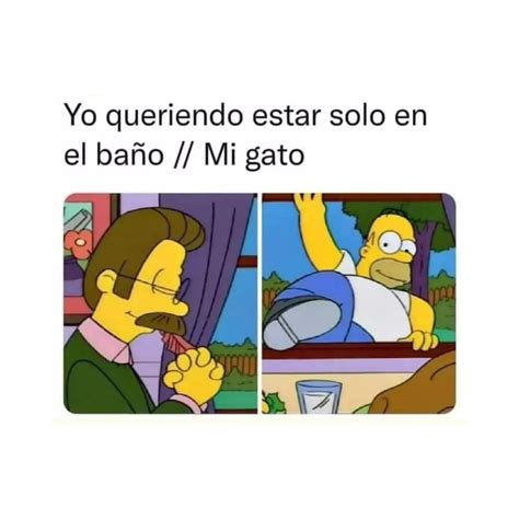 Yo Queriendo Estar Solo En El Baño Mi Gato Memes