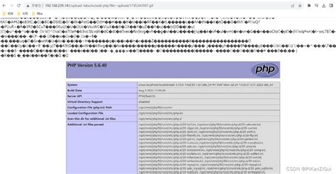 文件上传之图片马混淆绕过与条件竞争上传图片码绕过 Csdn博客 文件上传之图片马混淆绕过与条件竞争上传图片码绕过 Csdn博客