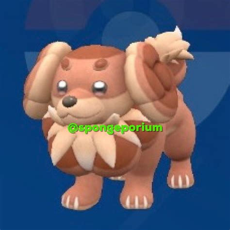 Shiny Dachsbun Pokemon Scarlet And Violet Nintendo Switch Video