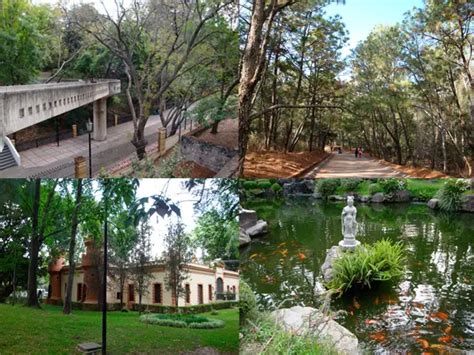 Bosque Los Colomos Zona Guadalajara