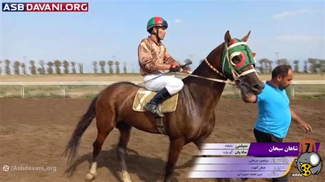 مسابقه اسبدوانی گنبد کاووس فیلو