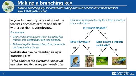 Living Things And Their Habitats Making Branching Keys