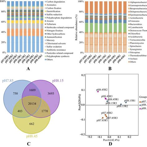 Overview Of The Geochip Analysis A Microbial Functional Repertoires Download Scientific