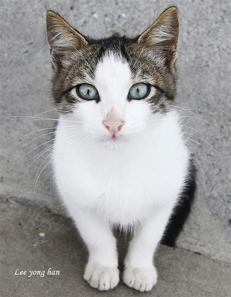 먹을 걸 내놓지 않으면