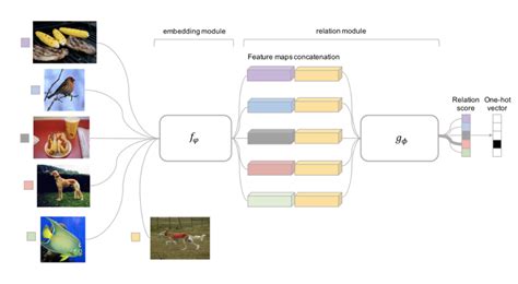 Introduction To Few Shot Learning And Meta Learning