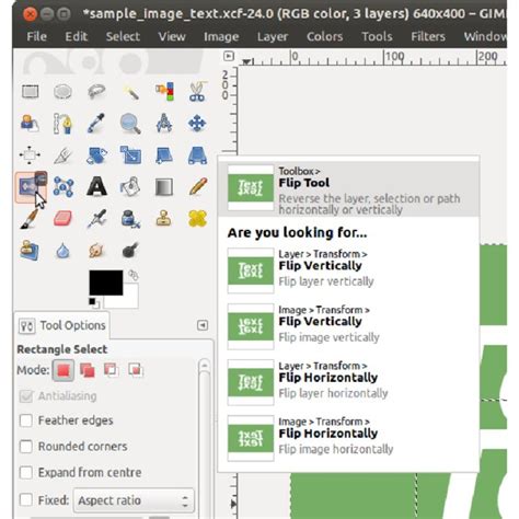 A Detour Tooltip For The Flip Tool In GIMP Download Scientific Diagram