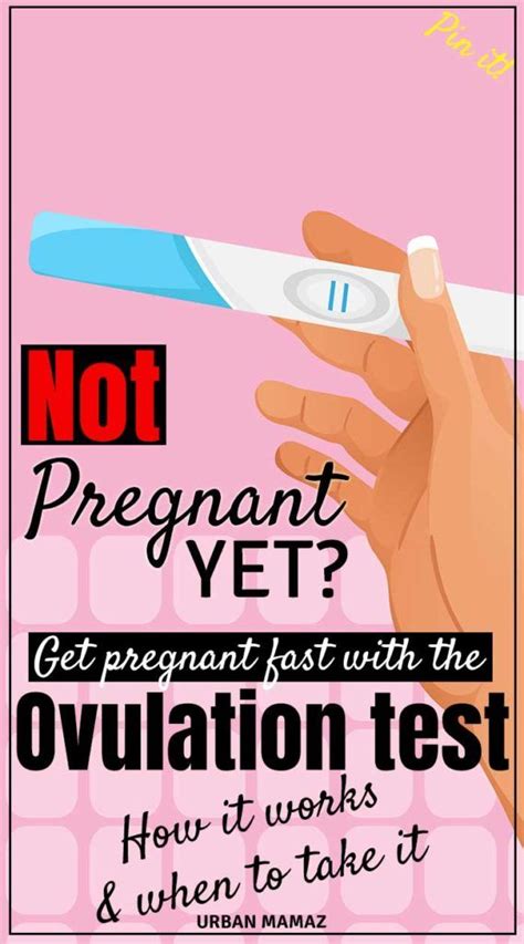 Ovulation Test How To Use It And When Is The Best Time To Take It Artofit