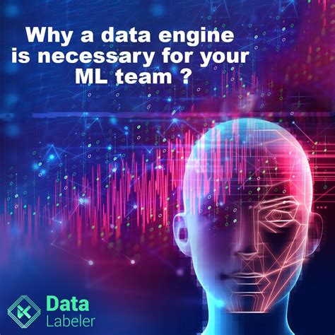 Datalabeler Datalabelingservices Datalabeling Dataannotationservices Data Labeler