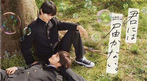 Kimi Ni Wa Todokanai Asianwiki