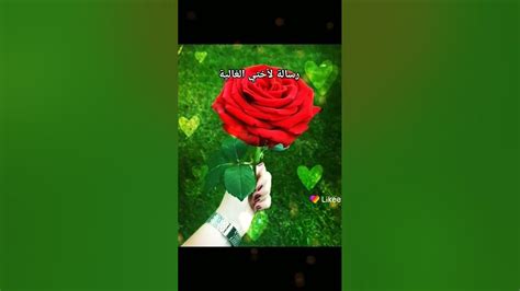 رسالة إلى اختي الغالية Youtube