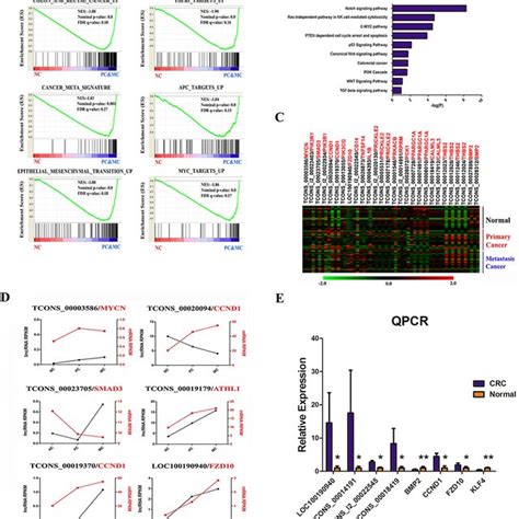 Network Analysis Of Coding And Long Non Coding Gene Expression In Crc