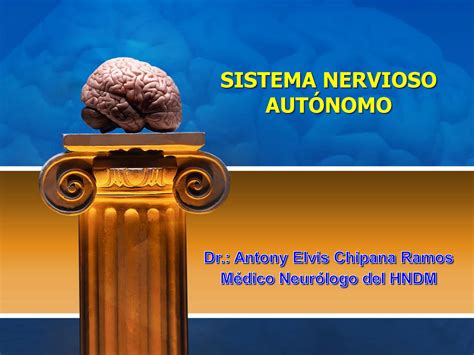 Solution Sistema Nervioso Aut Nomo Ii Sistemas Simp Tico Y Parasimp Tico Studypool