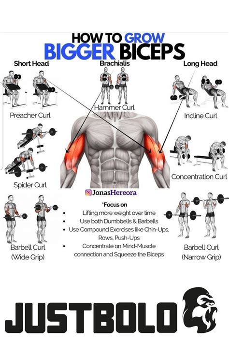 How To Get Bigger Arms By Jonashereora Pull Day Workout Workout Gym Routine Workout