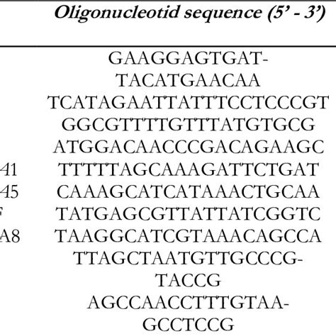 Primers Used For Detection Of Antibiotic Resistance Genes Download Scientific Diagram