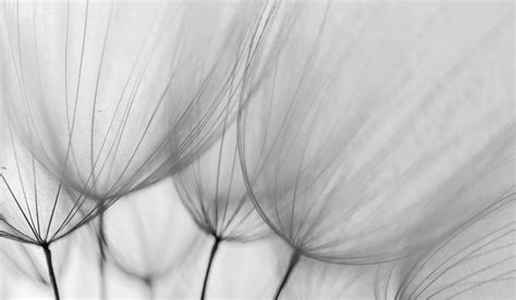 Export Control Compliance