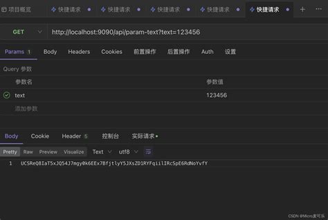 Spring Boot中整合jasypt 使用自定义注解aop实现敏感字段的加解密jasypt 注解方式 Csdn博客
