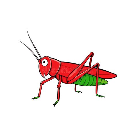 Vivid Red Legged Grasshopper Detailed Artwork Stock Illustration