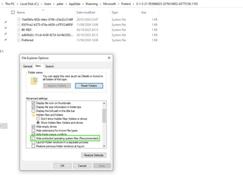 Web Browser Stored Credentials Penetration Testing Lab