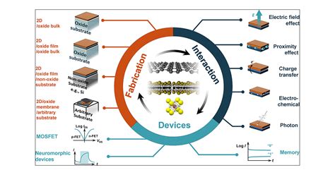 Two Dimensional Layered Materials Meet Perovskite Oxides A