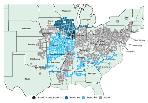 Mapping The 2024 Cicada Double Brood Which States Will Feel The Buzz Wiri Fm Wfhr Am Wcwi Fm