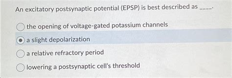 Solved An Excitatory Postsynaptic Potential Epsp ﻿is Best