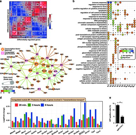 Gene Co Regulation Analysis A Heatmap Of Gene Gene Correlation Gene Co Regulation Analysis A Heatmap Of Gene Gene Correlation
