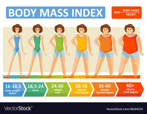 Body Mass Index Woman Age Flat Infographics Vector Image