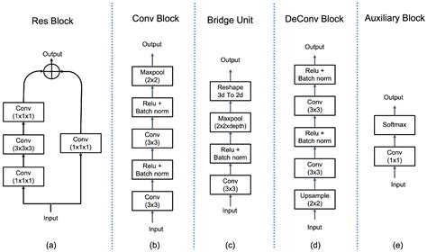 Selective Deeply Supervised Multi Scale Attention Network For Brain