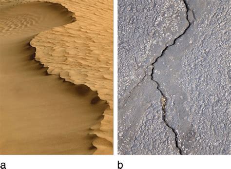 Shape Extraction And Figure Ground Segmentation Even When Relative Download Scientific Diagram