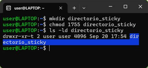 Bashshell Manipulación De Permisos Con Chmod Chown Y Chgrp
