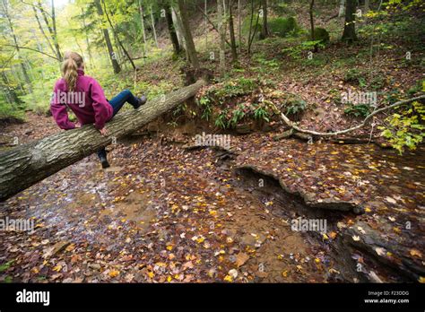 Girl Scooting Across A Fallen Tree Over A Creek On Hemlock Cliffs Trail