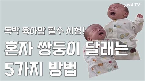 혼자 쌍둥이 달래는 5가지 방법 독박육아 쌍둥이육아 아기달래기 Youtube