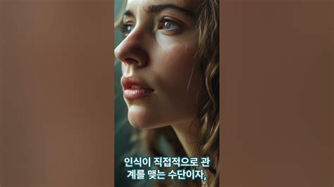순수이성비판 쇼츠영상 1 칸트 『순수이성비판』 초월적 감성론 직관에 대하여 명언 History Animation Kant Reason Intution