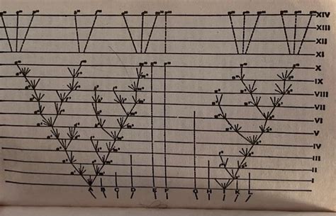 Solved On The Origin Of Species Discussion Questions Chapter Chegg