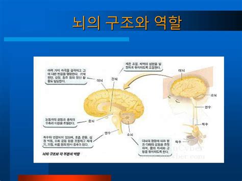 Ppt 지체장애유형별 심리 행동 특성 Powerpoint Presentation Id2935502