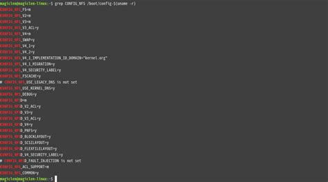 使用ubuntu Server架設nfs伺服器 Magiclen