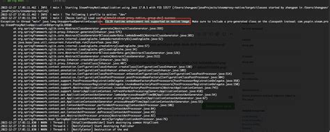 how to support reflection · issue 33638 · spring projects spring boot