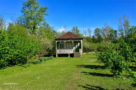 Giorgi Nikolava Giorgi Nikolava Photography