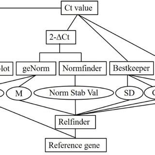 Data Analysis Flow Chart Download Scientific Diagram