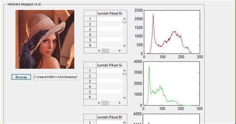 Menampilkan Histogram Citra Digital Menggunakan Matlab Ketutrare