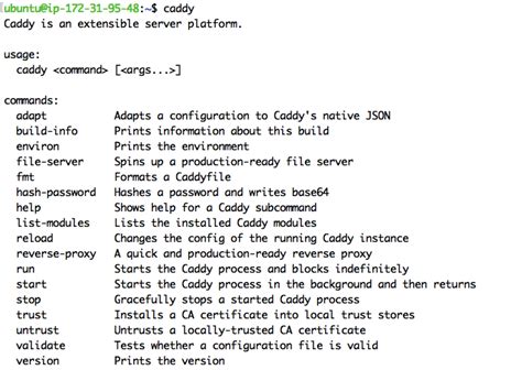 A Guide To Using The Caddy Server On Linux Boolean World