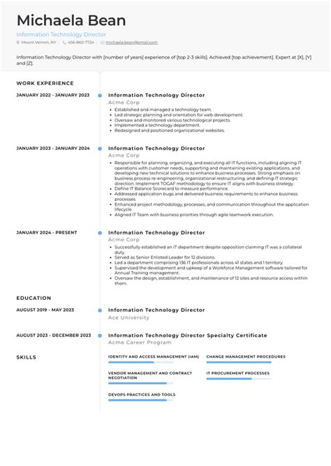 Information Technology Director Resume Examples That Work