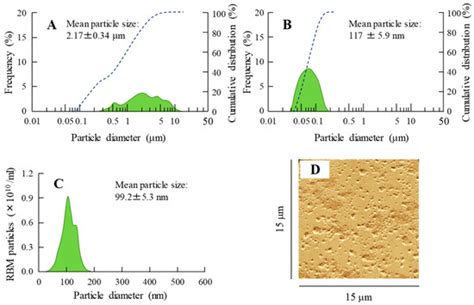 Ijms Special Issue Cell Biomaterial Interaction 2019