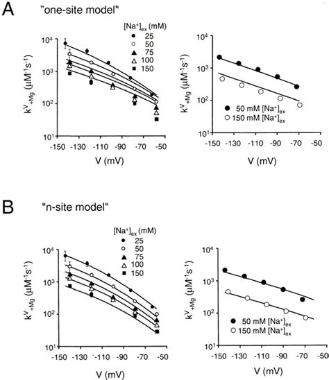 Number And Affinities Of Na⁺ Binding Sites The Mg²⁺ Association Rate