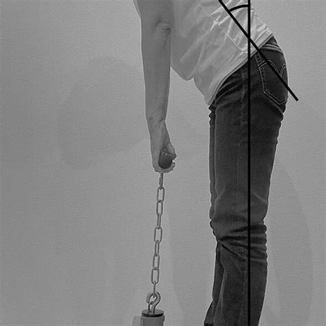 Back Extensor Strength Was Measured In The Standing Position While Download Scientific Diagram