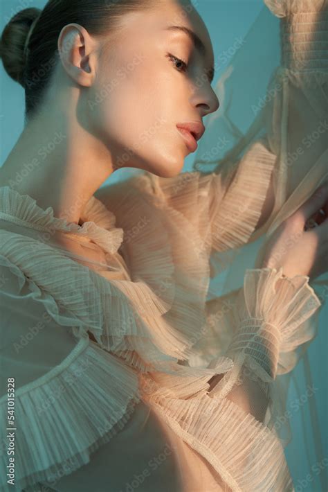 Sexy Model In Transparent Dress Stock Photo Adobe Stock