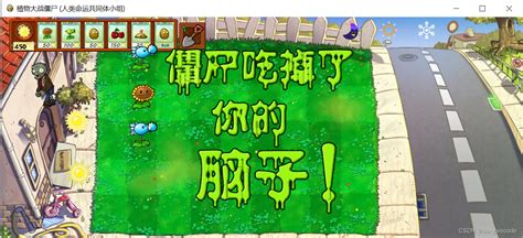 Java Swing 植物大战僵尸精品游戏432 功能完善 完整代码 下载即可以运行植物大战僵尸java诺基亚 Csdn博客