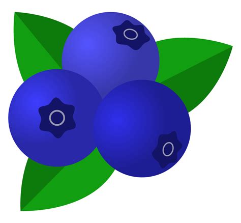 ブルーベリー様イラスト motgame vn