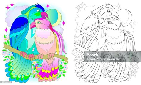 채색을 위한 다채롭고 흑백 패턴 새 커플의 판타지 그림 어린이와 성인을 위한 워크시트 벡터 이미지입니다 색칠 공부 0명에 대한 스톡 벡터 아트 및 기타 이미지 Istock